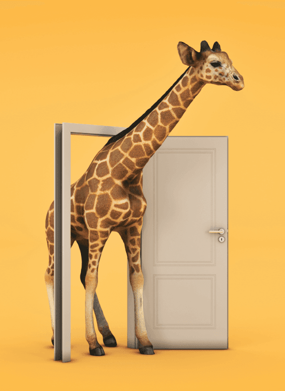 geleza.app: Best AI Homework Helper, Interactive PDFs, Math Solutions ...